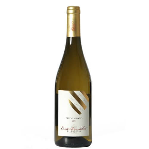 Friuli Grave Pinot Grigio DOC 2022 - Conte Brandolini d’Adda